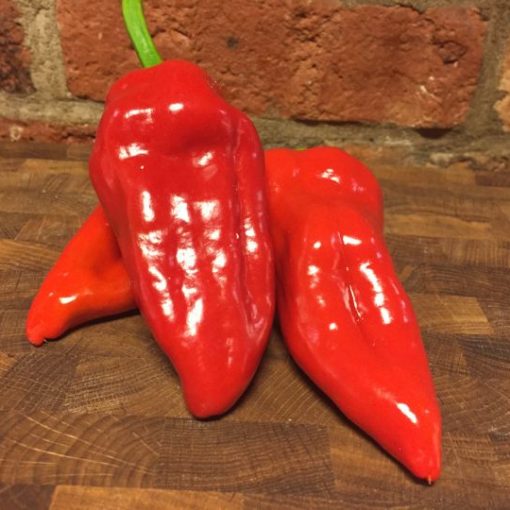 Apache F1 - Chilifrö | ChiliLovers.nu